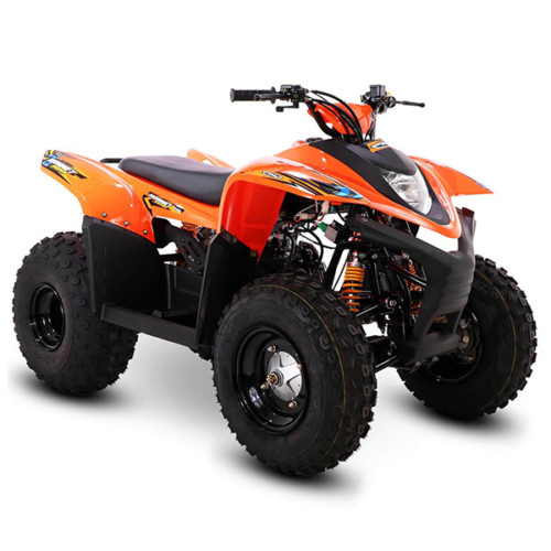 SMC Hornet 100cc Junior Quad Bike - Mini Quad Bikes